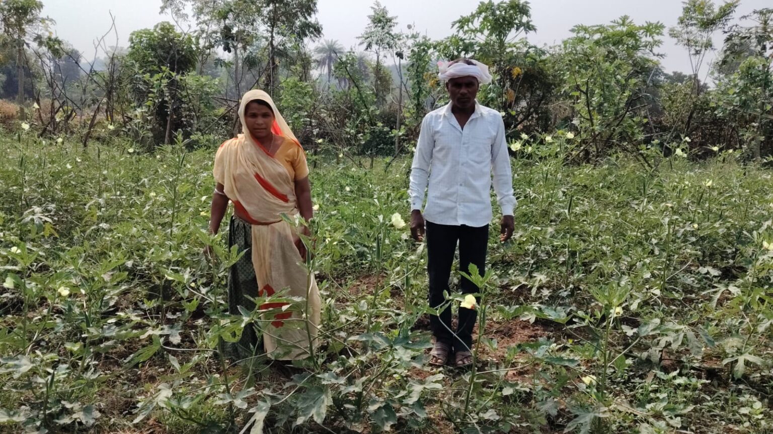 Crop Diversification Brings Economic and Nutritional Security to ...